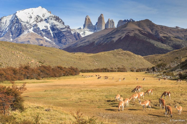 The magic of the Torres del Paine National Park - Ecochile - Tailor ...
