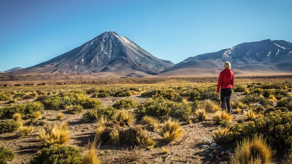 6 reasons to visit Chile in spring - Ecochile - Tailor-made tours