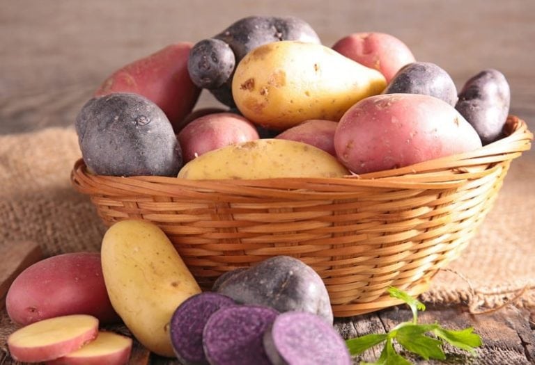 15 fun facts that you didn’t know about Chile - Ecochile - Tailor-made ...