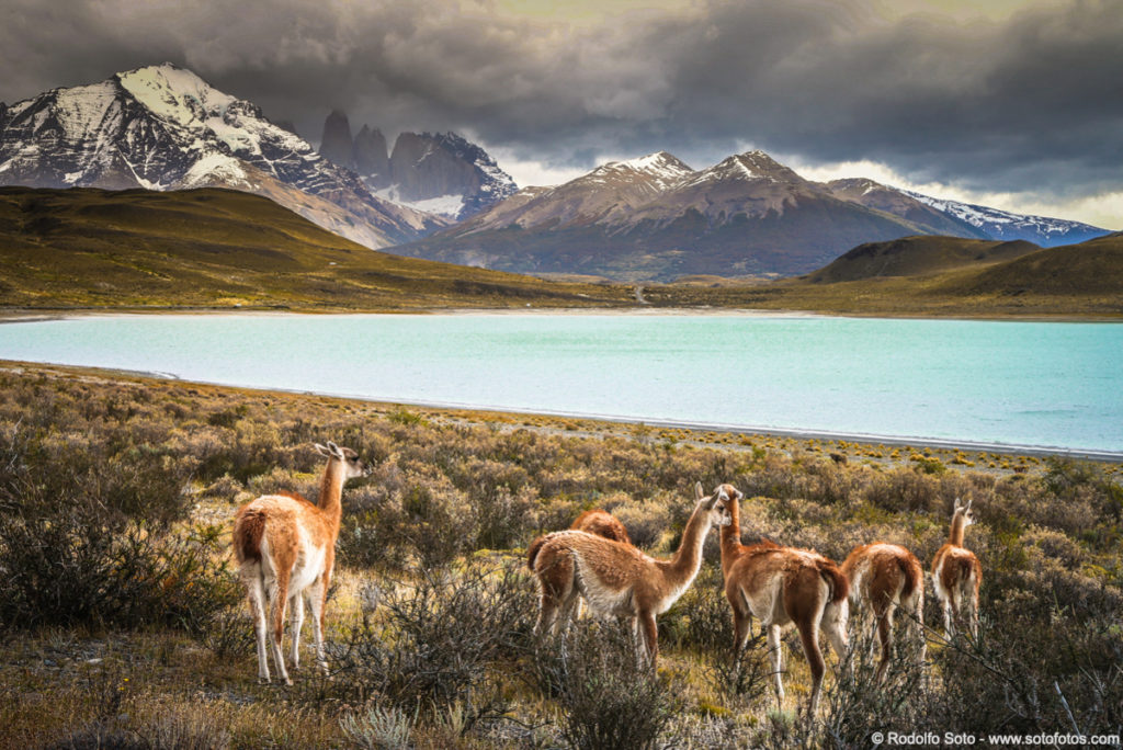 Discovering The Route of Parks of Patagonia - Ecochile - Tailor-made ...