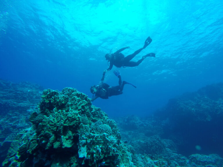 Your guide to Easter Island - Ecochile - Tailor-made tours