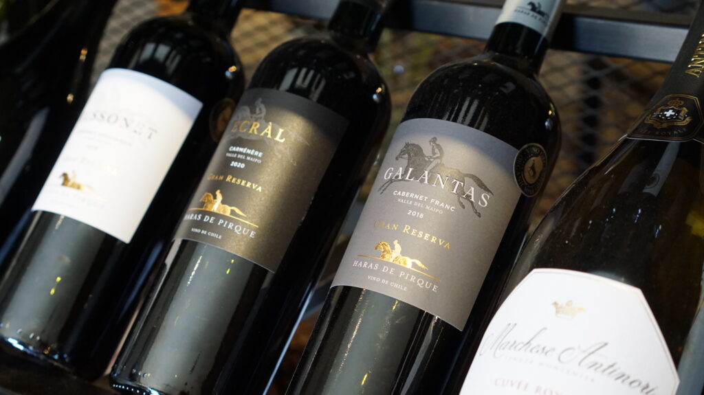 The Best Regions for Wine Tasting in Chile - Ecochile - Tailor-made tours