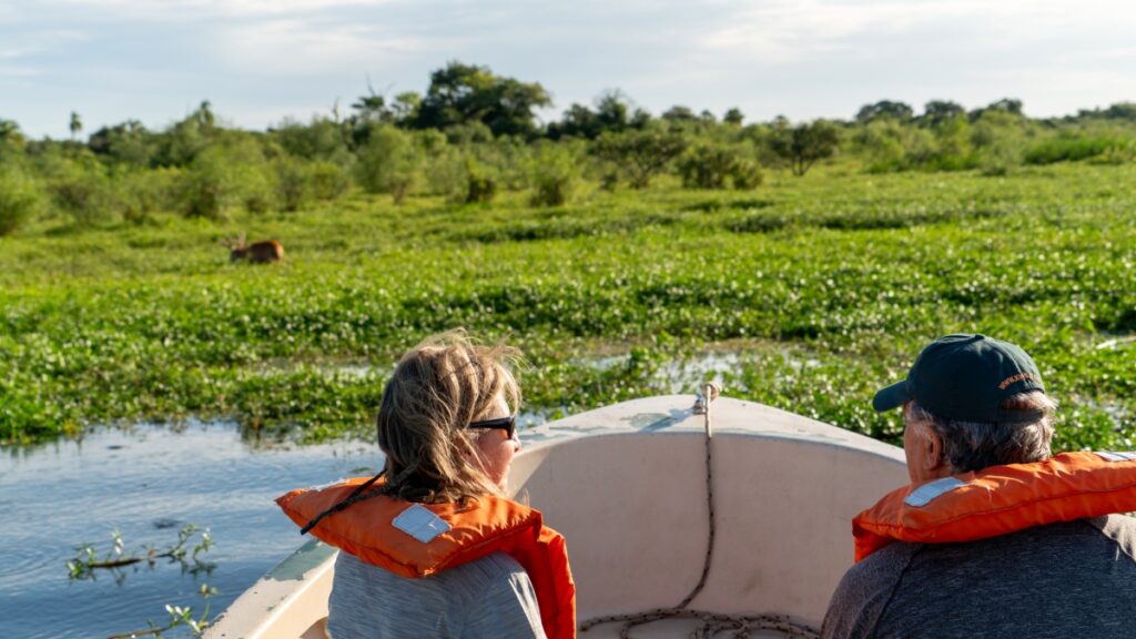 Visiting the Wildlife Haven of Iberá Park - Ecochile - Tailor-made tours