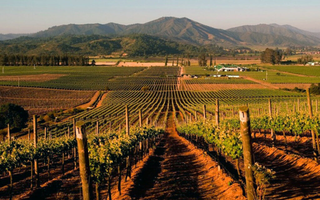 Boutique Wineries in Chile - Ecochile - Tailor-made tours