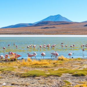 Plan your trip - Ecochile - Tailor-made tours